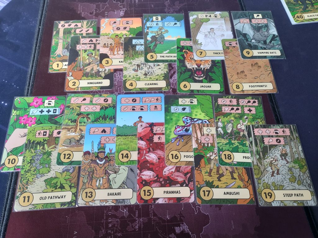 The Lost Expedition Card Game Review - Home of Mark